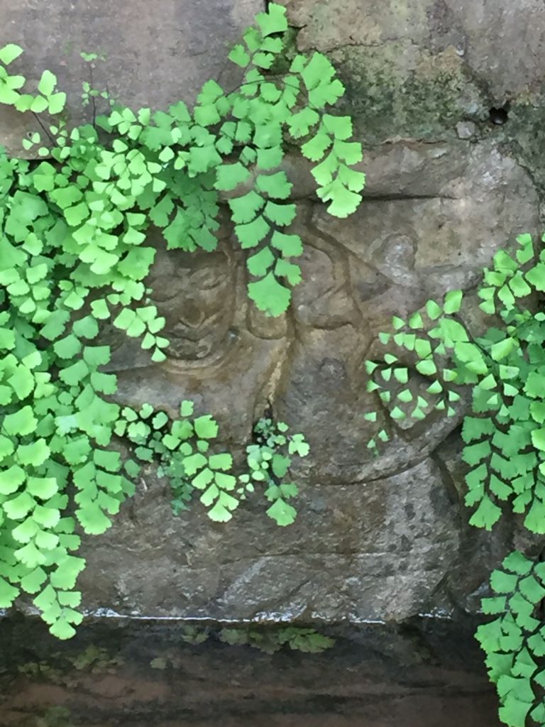 Hydro-geology, bowlis and the people we call Dogras