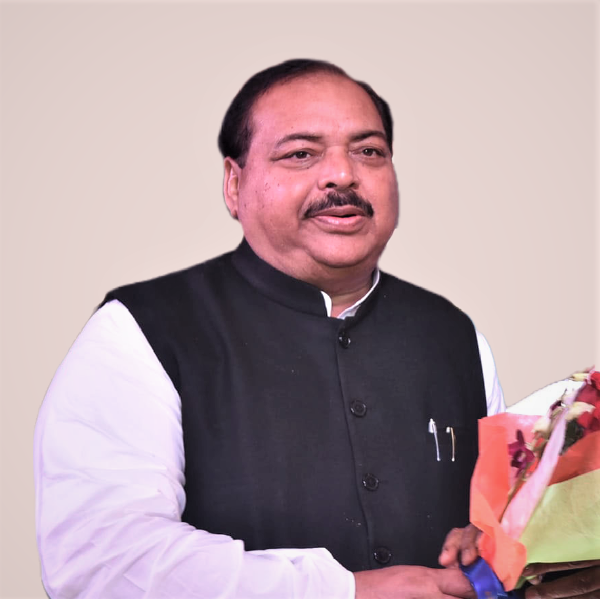 Mohammed Ali Ashraf Fatmi - Bridge India