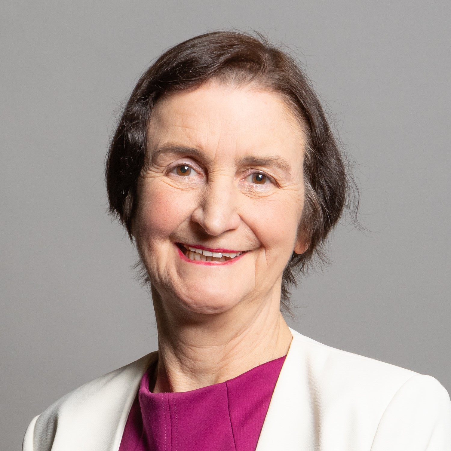 Nia Griffith MP - Bridge India