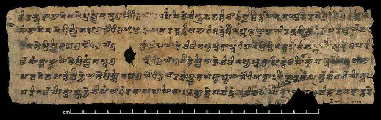 Civilisational Heritage and Competition for Sanskrit Manuscripts